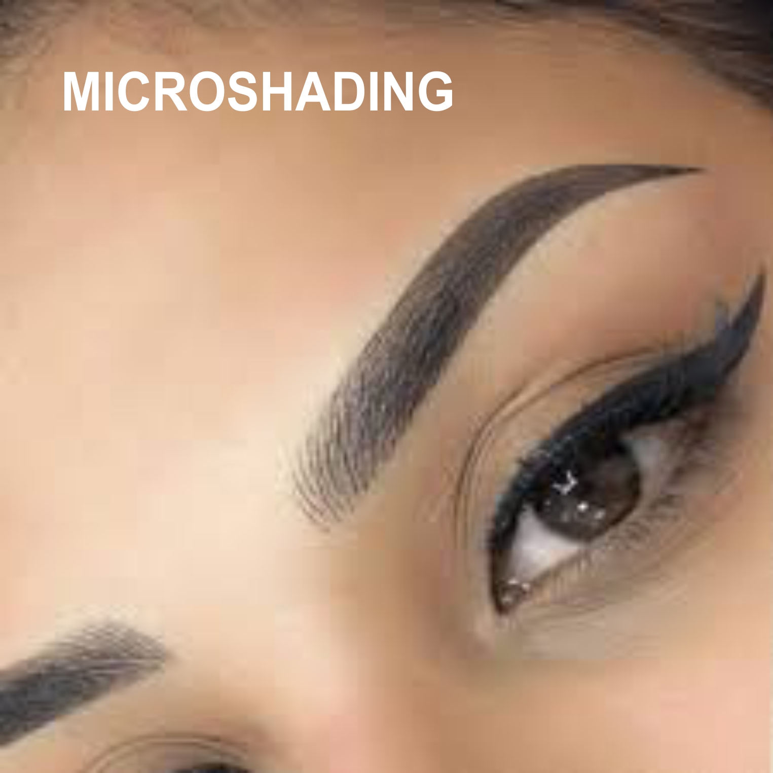 Microshading • CENTRO NUEVA BELLEZA